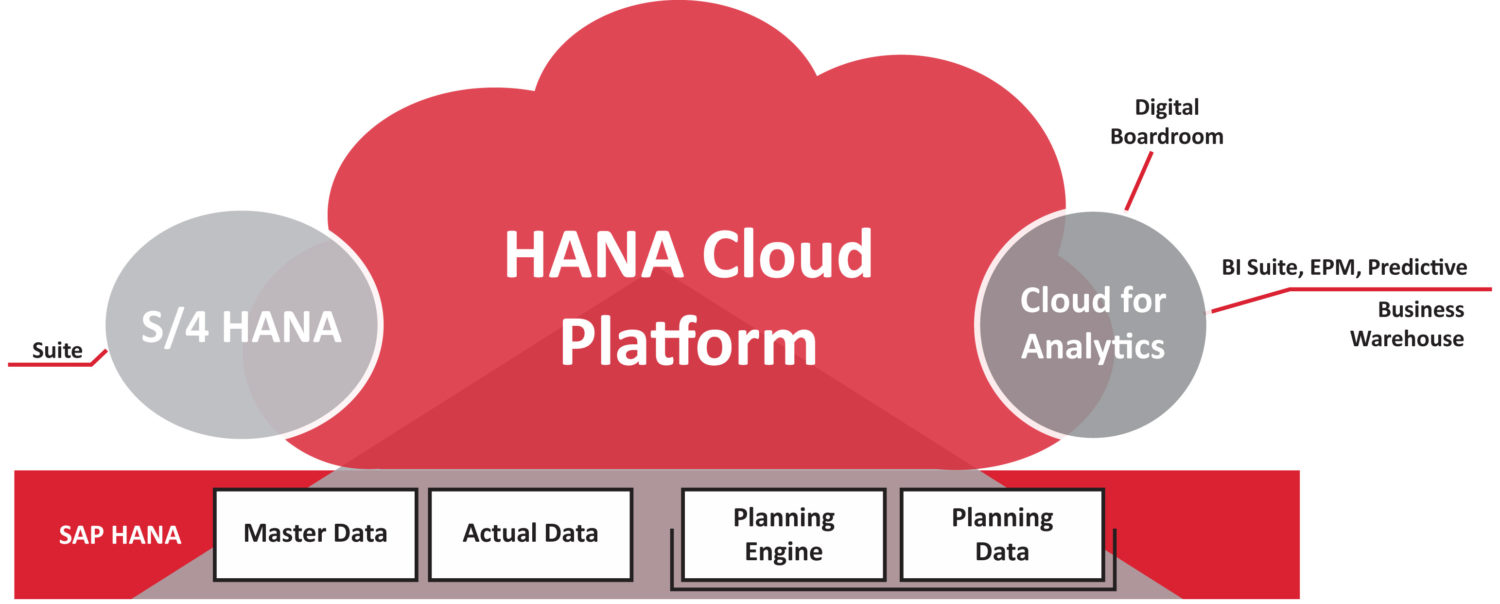 Optimize Financial performance leveraging S/4 HANA EPM/BPC | Infogility